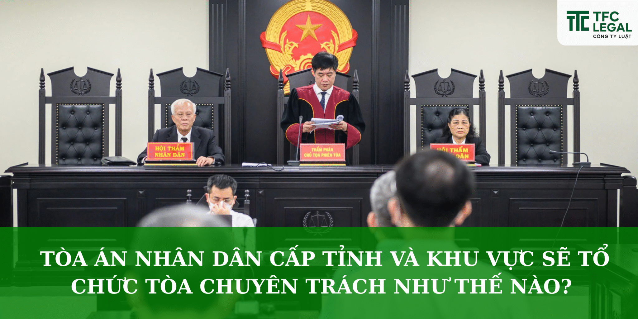 Tòa án nhân dân cấp tỉnh và khu vực sẽ tổ chức Tòa chuyên trách như thế ...